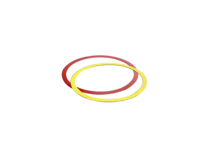Lot de 6 cerceaux pour petanque | INTERSPORT Clubs & Collectivités